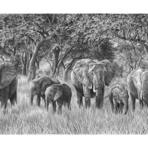 Elephant drawing | Etsy