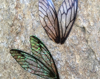 Fairy wings | Etsy