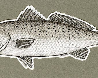 Speckled trout art | Etsy
