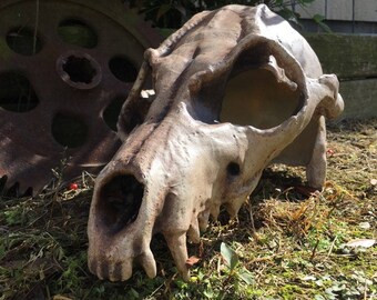 Werewolf costume | Etsy