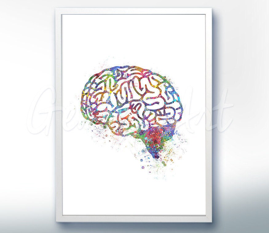 Brain Watercolor Art Print Brain Anatomy Watercolor Art