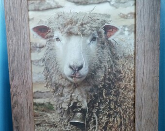 Sheep portrait | Etsy