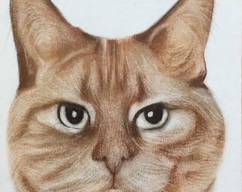 Cat drawing | Etsy