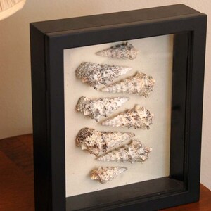 Shadow box table | Etsy