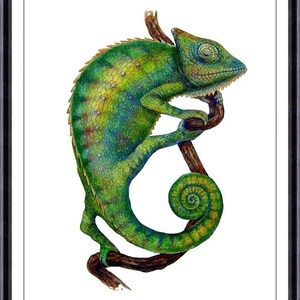 Chameleon print | Etsy
