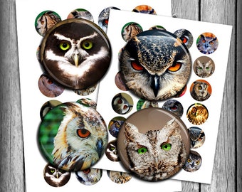 Owl collage sheet | Etsy