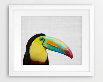 BIRD Chart Exotic Birds Poster Bird Print Parrot Print