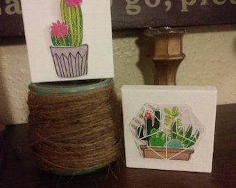 Succulent decor | Etsy