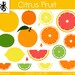 Citrus Fruit Digital