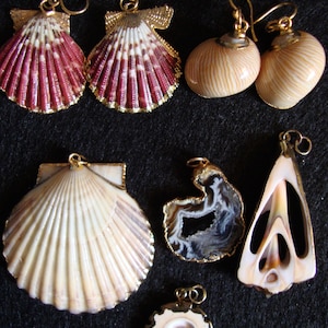 Sea shells jewelry | Etsy