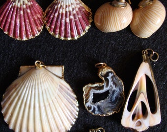Sea shell jewelry | Etsy