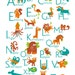 AFRIKAANS Alphabet Poster with animals from A to Z BIG POSTER