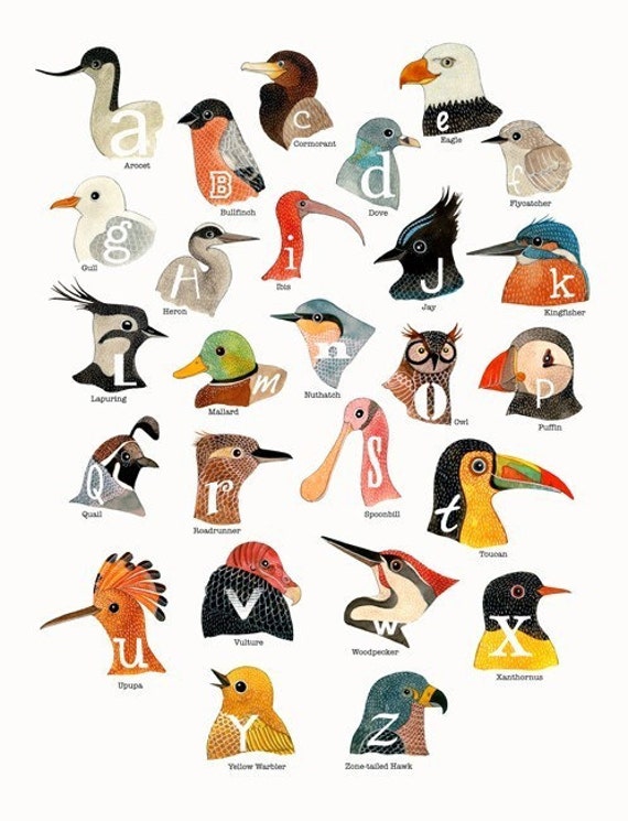 ABC of Birds