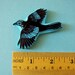 Mockingbird rubber stamp hand carved bird stamp flying