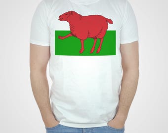 Welsh rugby t shirt | Etsy