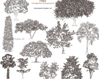 Contour Line Drawing Nude Print Modern Art Matisse Style