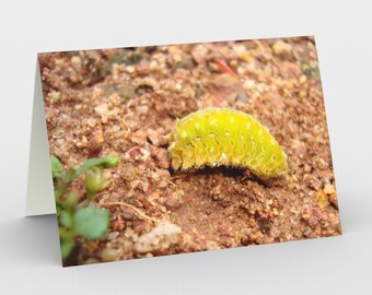 Caterpillar card | Etsy