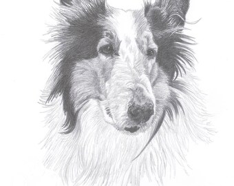 Rough collie | Etsy