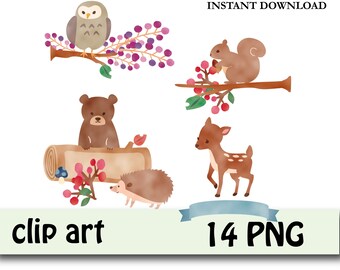 Woodland Friends. Watercolor animals clipart forest bear