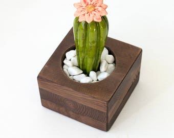 Miniature Cactus-Ceramic Cactus-Botanical Art-Ceramic