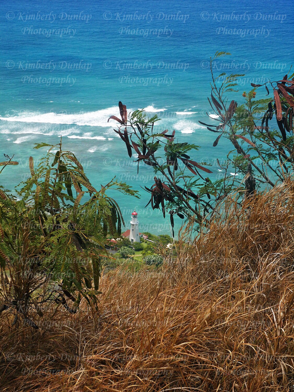 Fine Art Lighthouse Photograph Tropical Picture Blue Sea