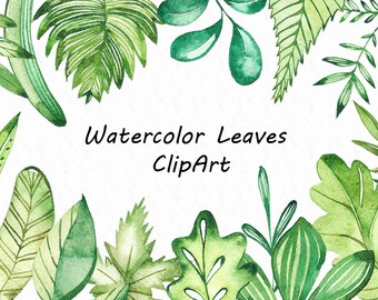 BIG SET 88 Watercolor Leaves Clipart png Watercolour