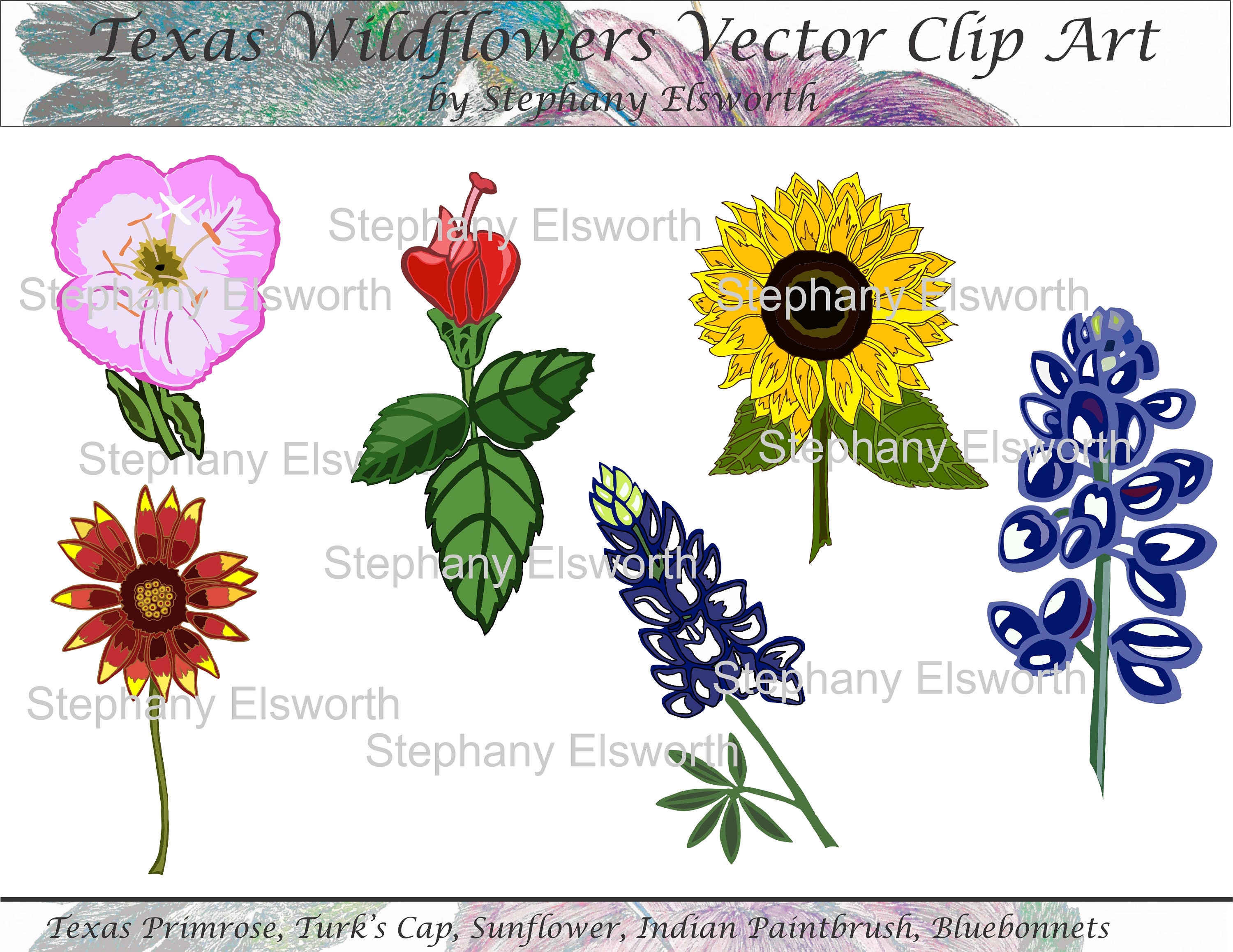 Texas State Flower Clip Art