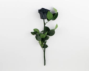 Long stem rose | Etsy