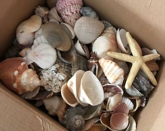 Beach centerpiece | Etsy