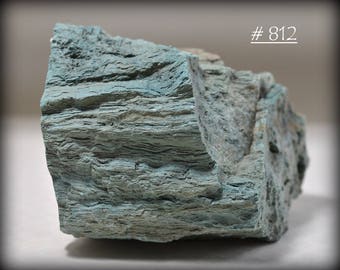 Petrified wood | Etsy