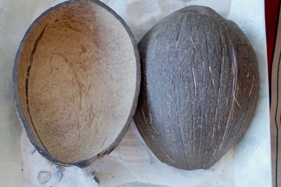 Natural Coconut Cup Natural Coconut Shells Coconut Cups