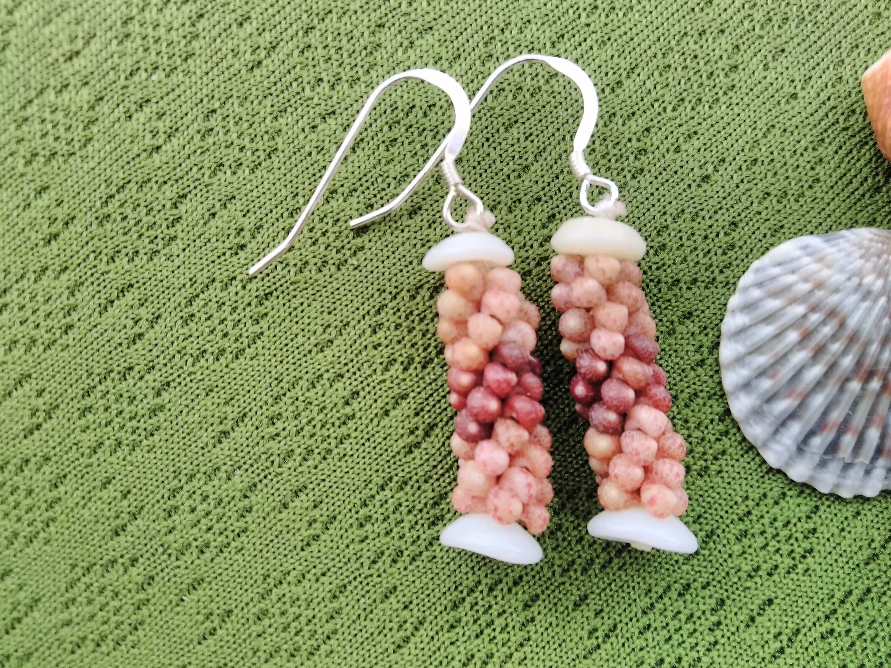 Hawaii Shell Earrings Niihau Shell Jewelry Shell Earrings