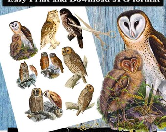 Owl collage sheet | Etsy