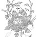 Adult Coloring Page Bird with bird's nest original art