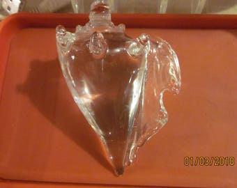 Volute Shells Australia Indonesia West Africa Seba Conchology