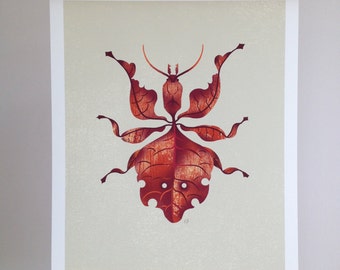 Print The Emperor Dragonfly Pencil Drawing