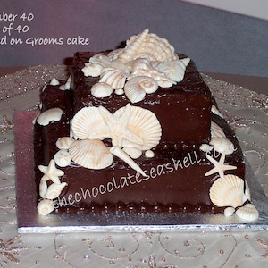 Seashell cake | Etsy