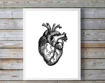 Heart Human Anatomy Butterfly Anatomical Heart Print on