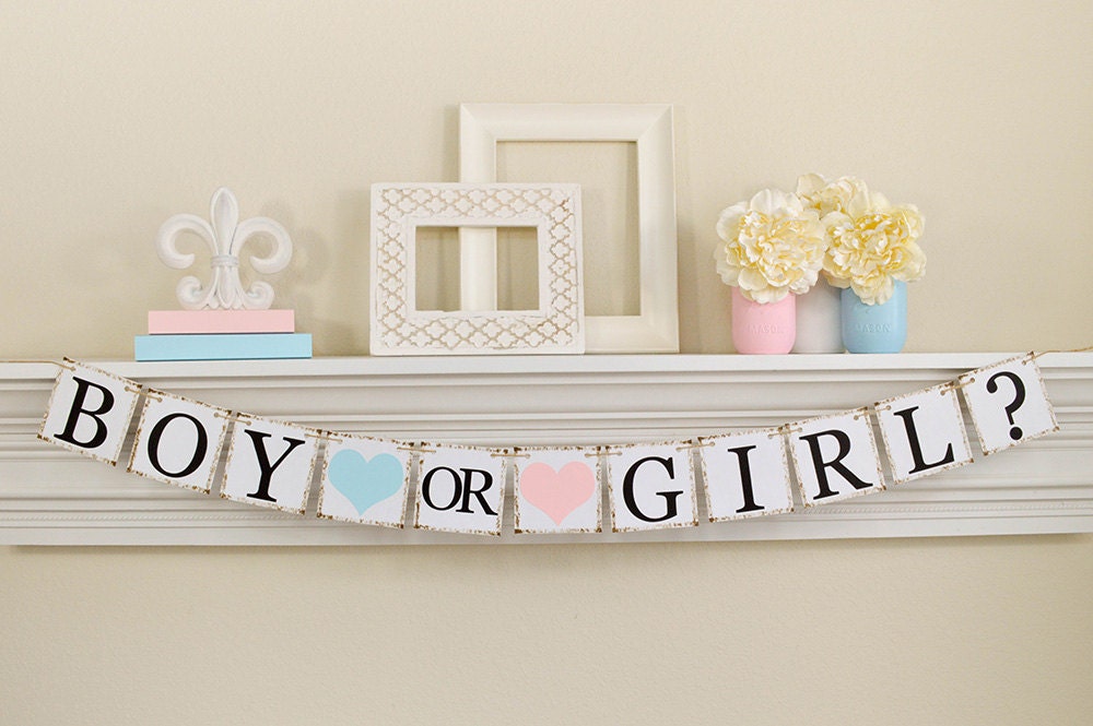 Gender Reveal Banner Boy or Girl Banner Gender Reveal Ideas