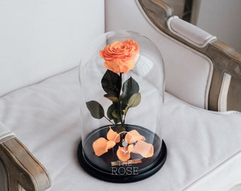 Enchanted rose | Etsy