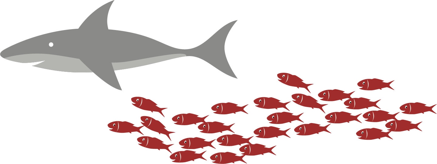 Cardumen de peces con una tiburón vinilo pared calcomanía