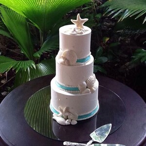 Seashell cake | Etsy