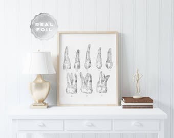 Dental wall art | Etsy