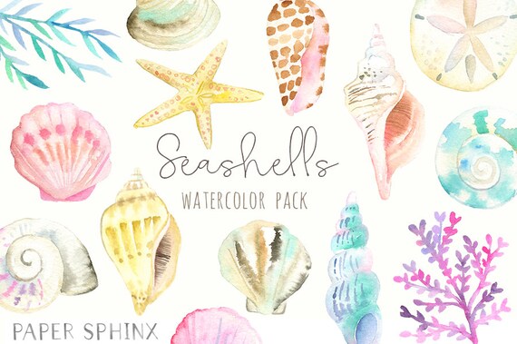 Watercolor Seashells Clipart Nautical Watercolor Clip Art