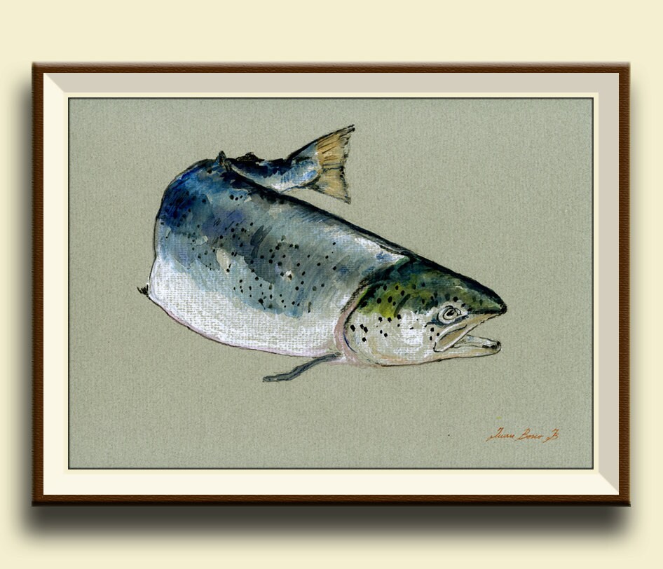 PRINT-Atlantic Salmon fish art wall painting watercolor