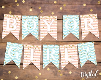 Gender reveal banner | Etsy