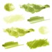 16 Green Watercolor Splotches Splatters Brush Strokes Green
