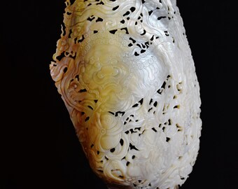 Carved sea shell | Etsy