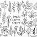 Hand Drawn Doodle Leaves Clipart leaves silhouette PNG EPS