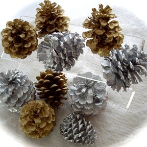 Painted pine cones | Etsy